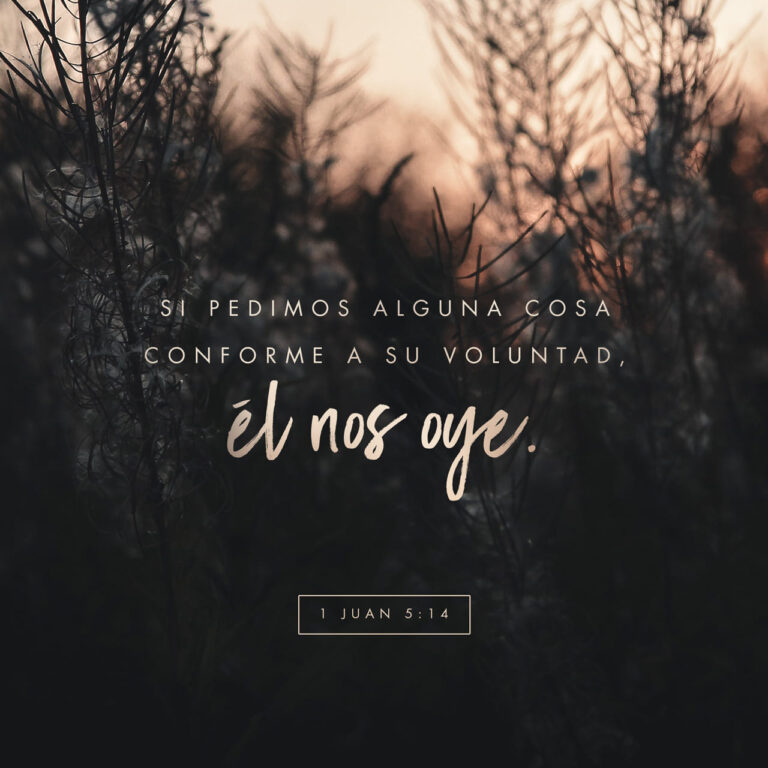 1 Juan 5:14 RVR1960 - Iglesia Evangélica Bautista de Flores